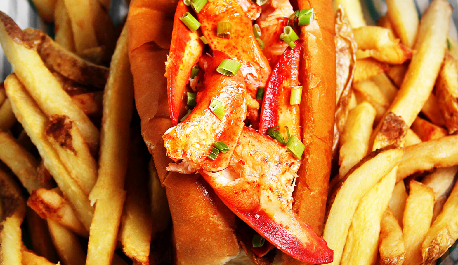 Gallery – Folk Fries